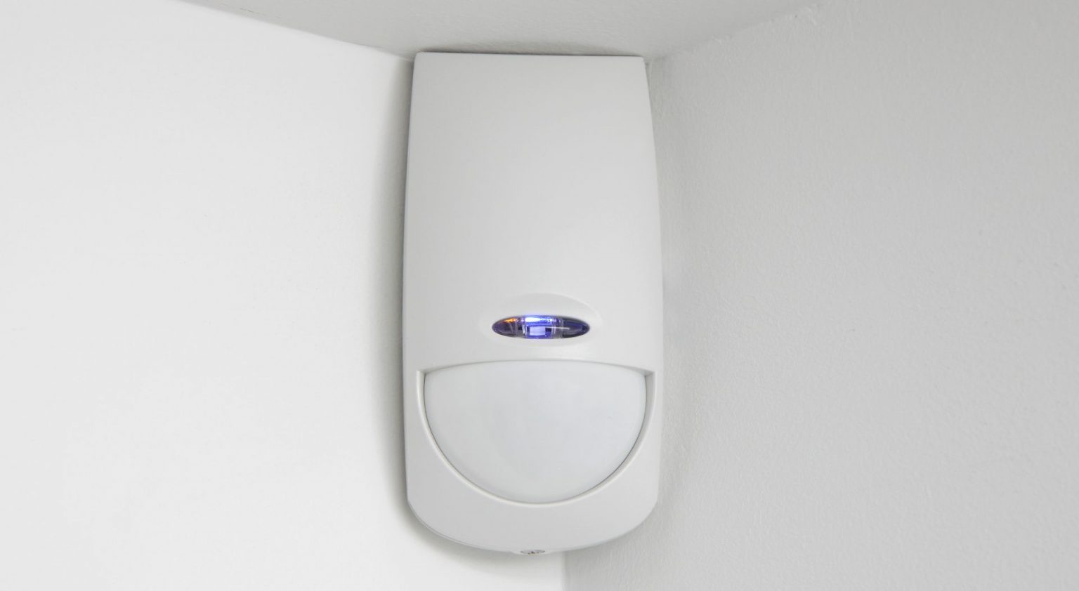 Motion Detection: Home and Business Security | Forrest Security